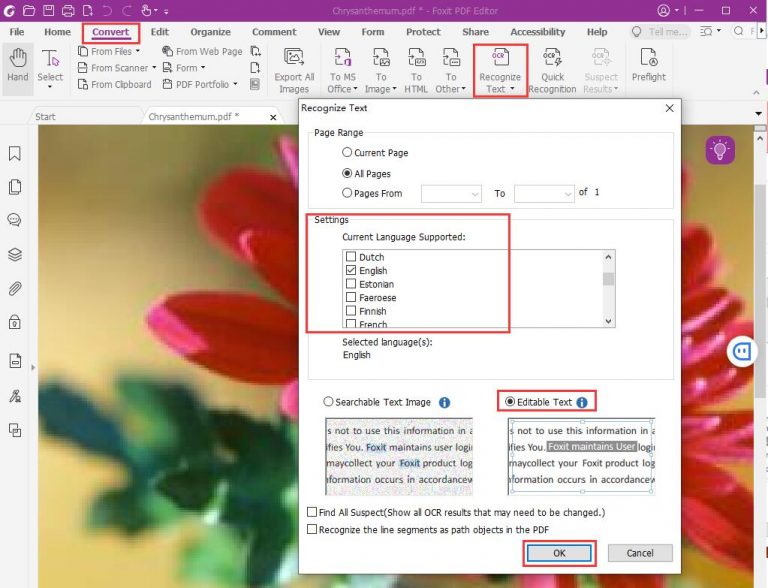 How to Make Text and Images Editable in a PDF | Foxit