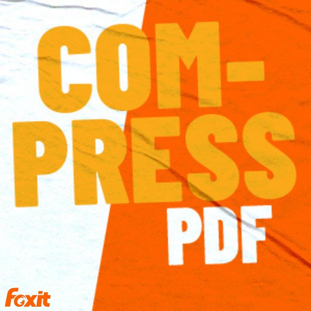 How to Choose the Right PDF OCR to Excel Converter | Foxit